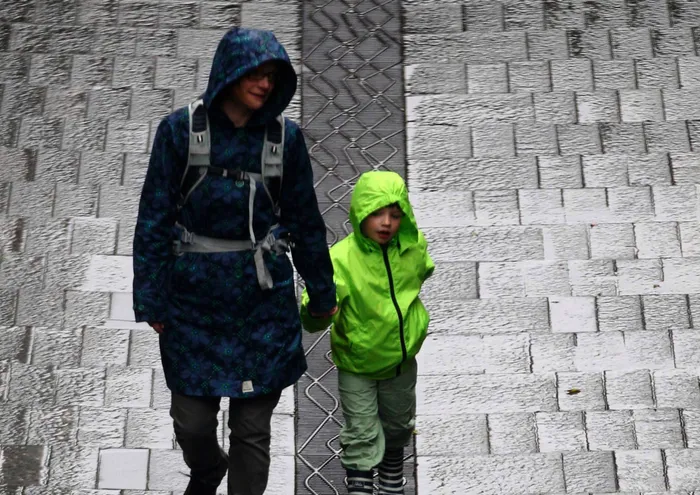 Sydney lashed by harsh rainfall