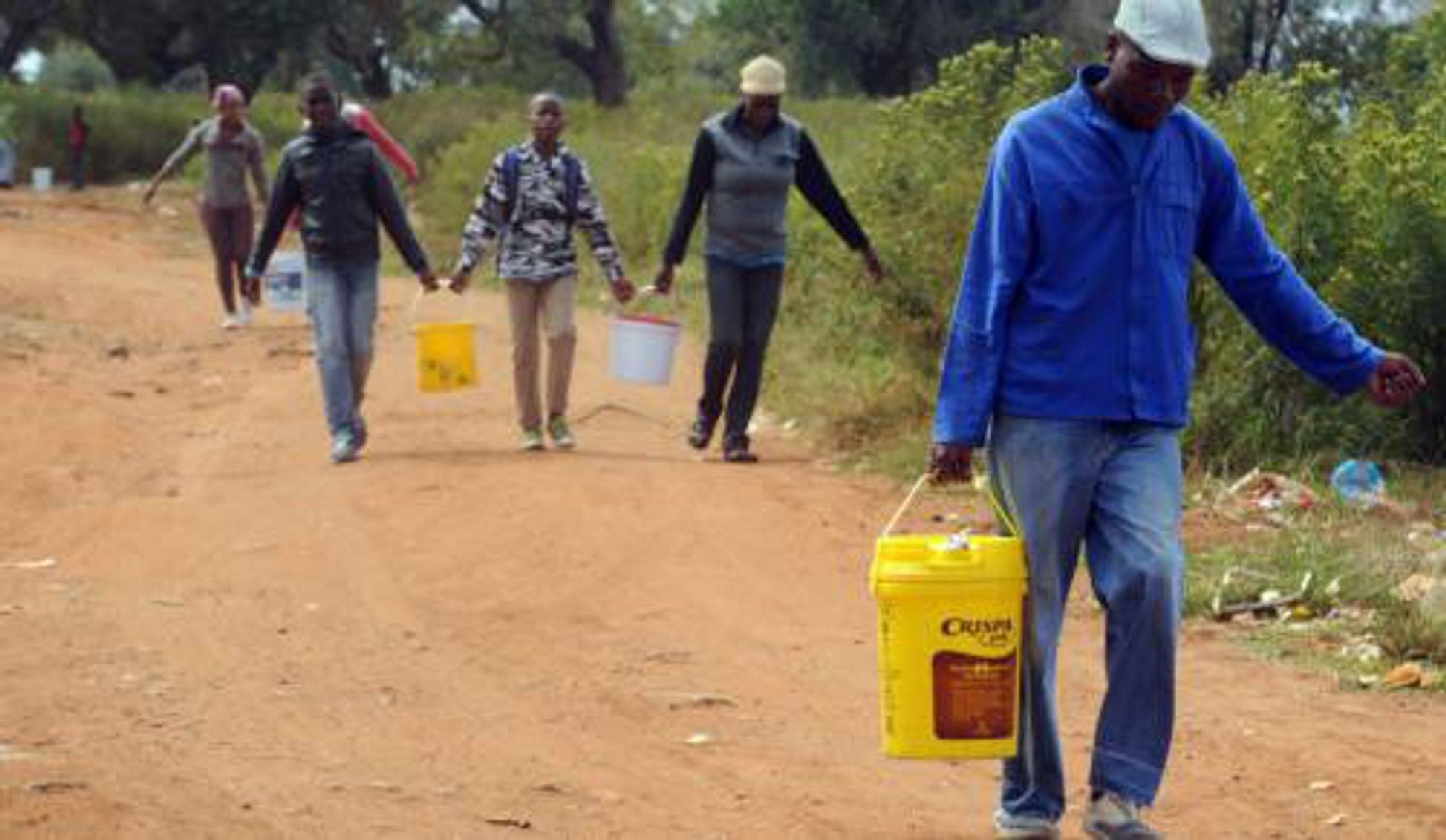 Working for Water project 'not working'