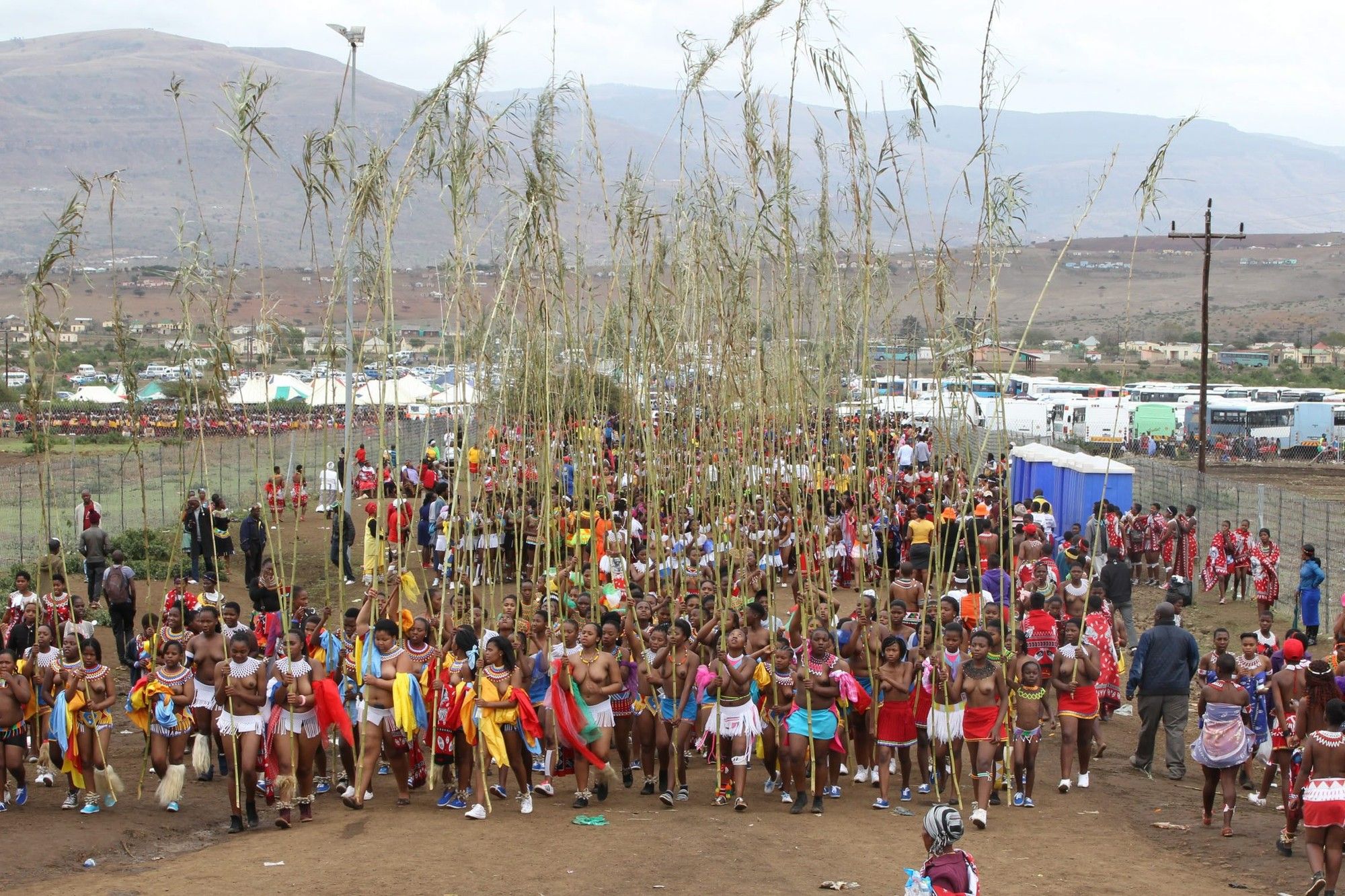 ‘Sizoya emkhosini woMhlanga noma ngabe ukusiphi isigodlo’