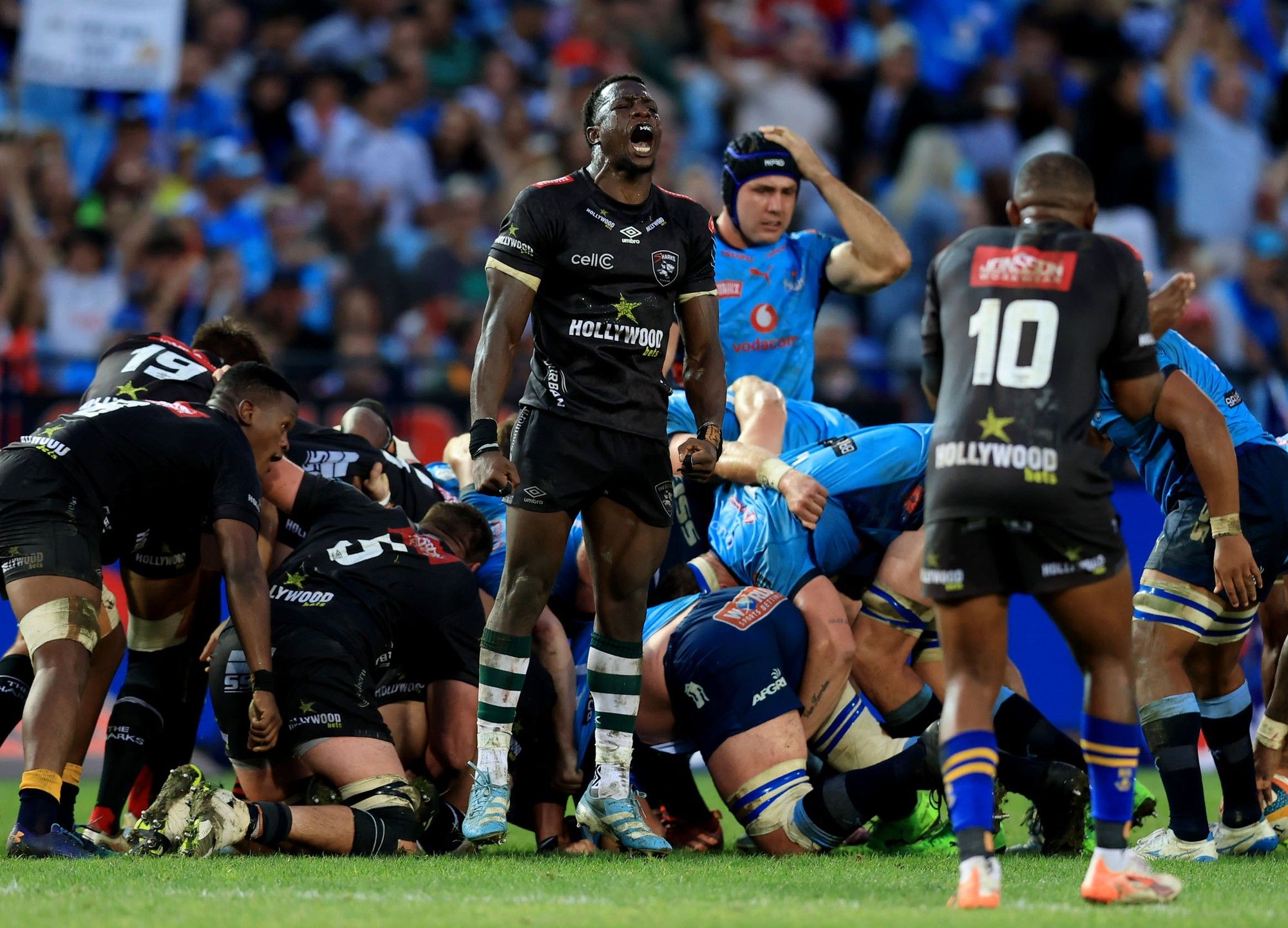 Sharks face tough decision on squad selection ahead of Lions clash