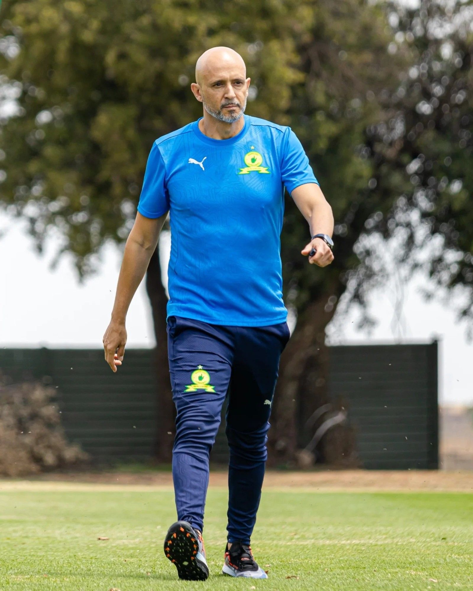 Akonelisekanga ncam umqeqeshi ngumsebenzi weSundowns