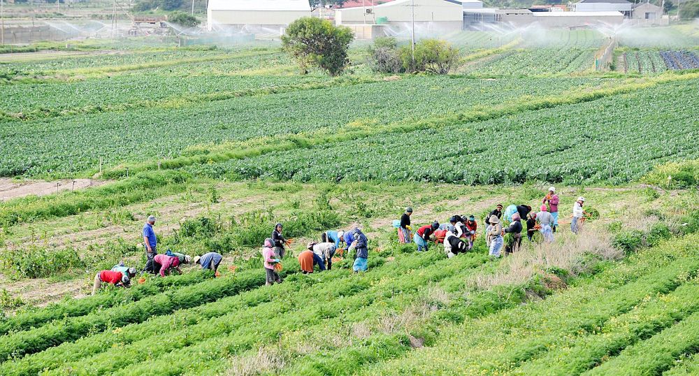 Activists fuming over City's swift Philippi land appeal notice