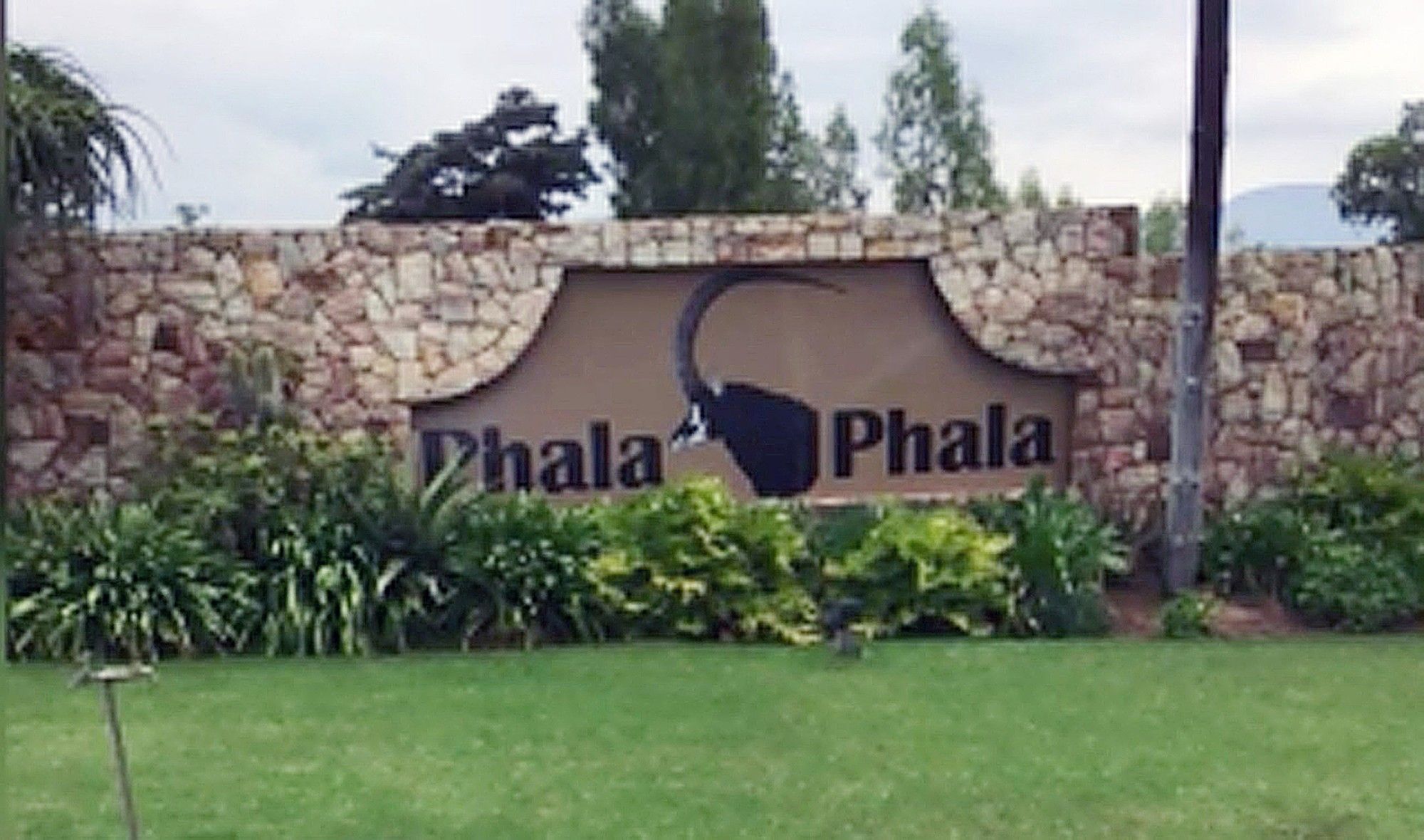 Phala Phala farm to hold auction amidst controversy