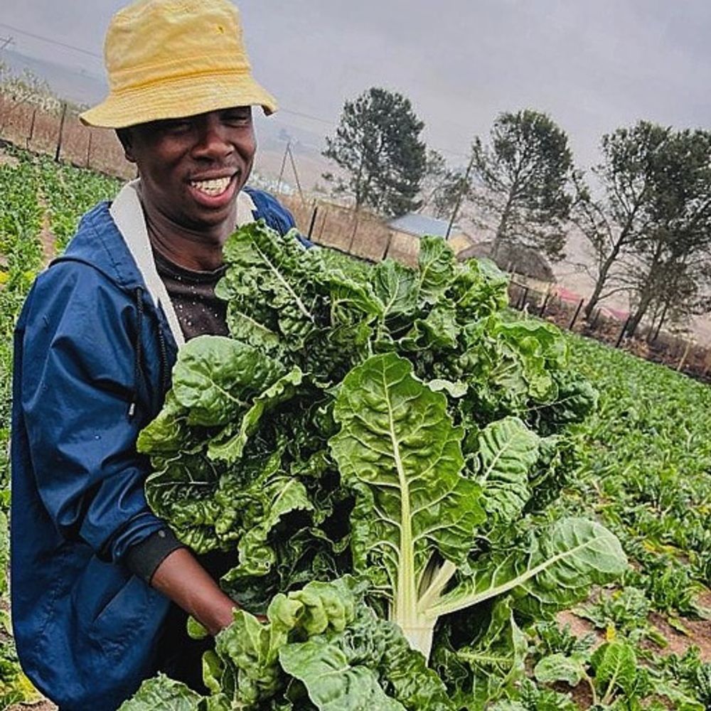 Yondela Gqoli reaps what he sows