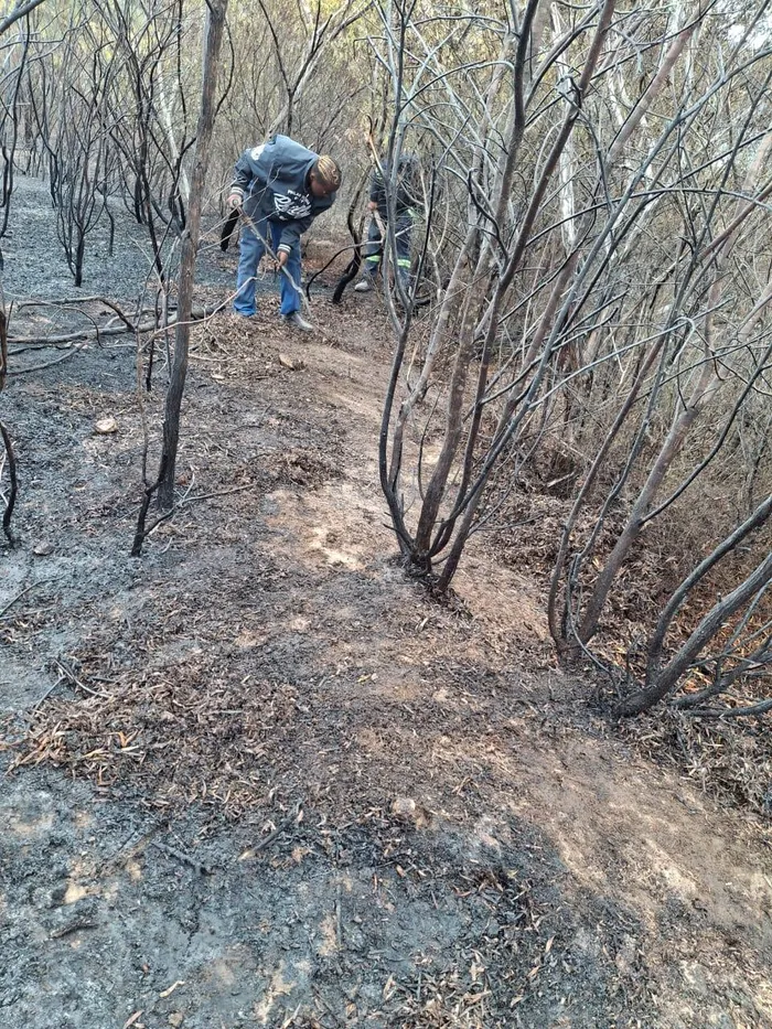 Mossel Bay Municipality ramps up fire line security as temperatures fall