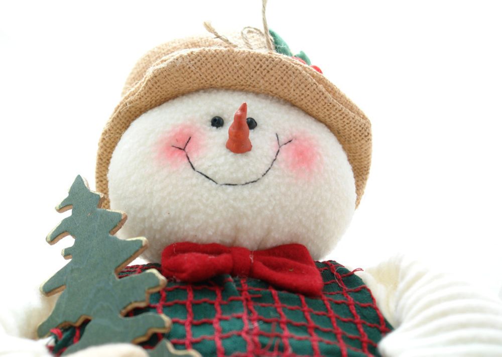 Emergency services rush to save snowman