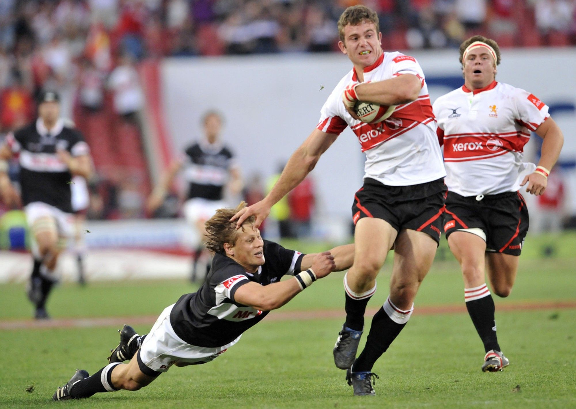 Bright future for Taute