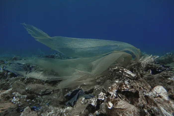 UCT departments collaborating on project to help save oceans