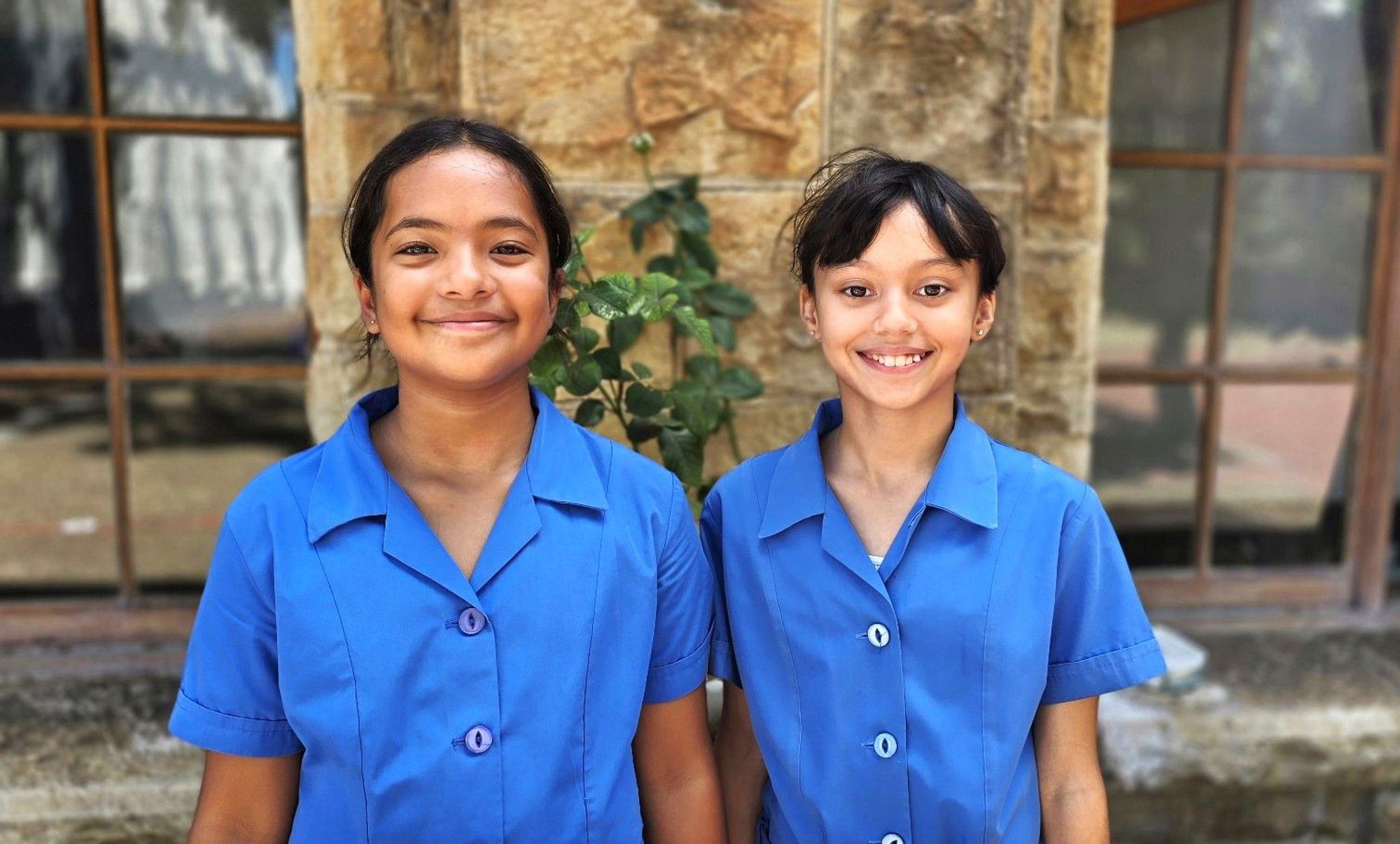 Rusty Bugs are story stars