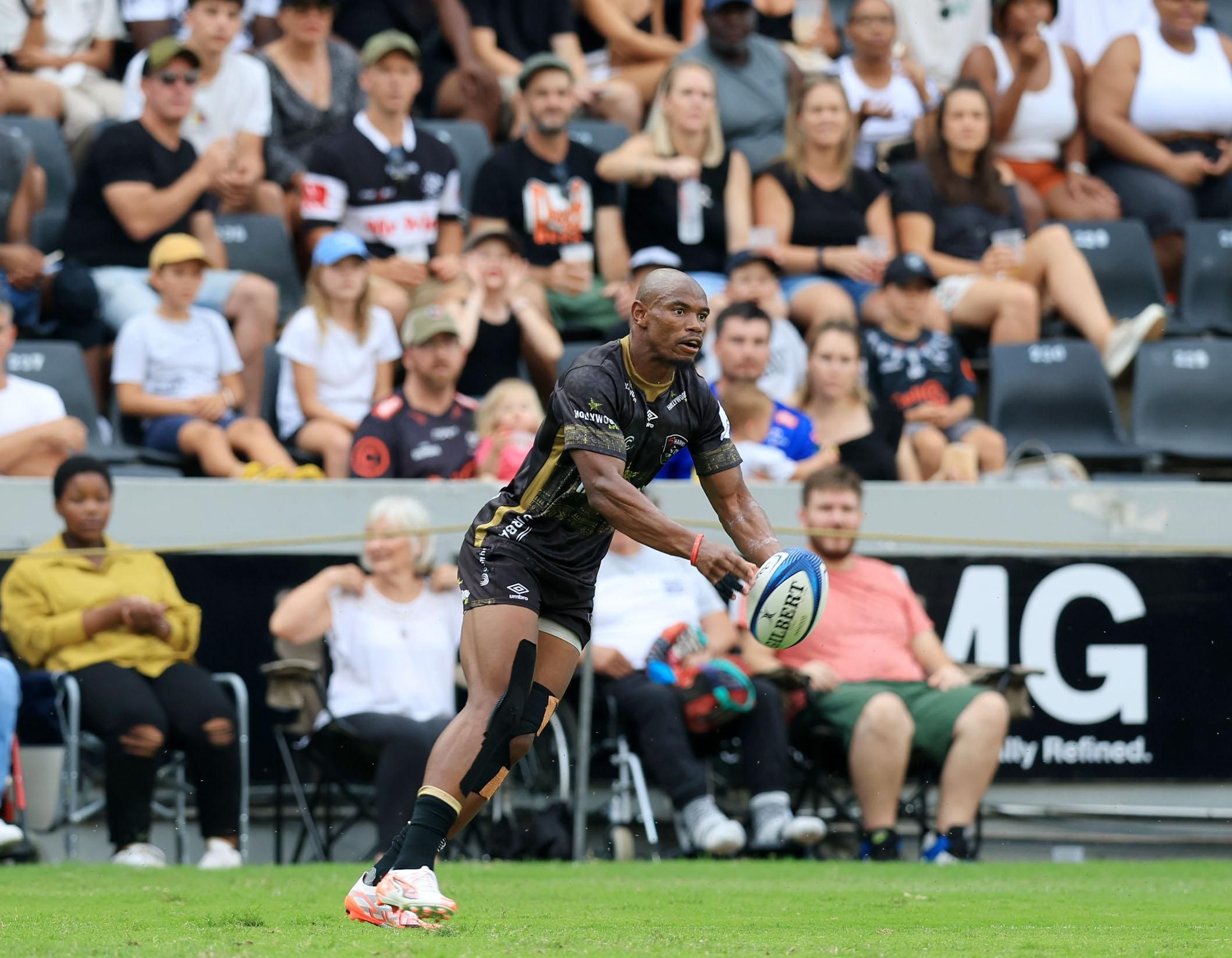 Old dog Mapimpi to teach Sharks pups new tricks