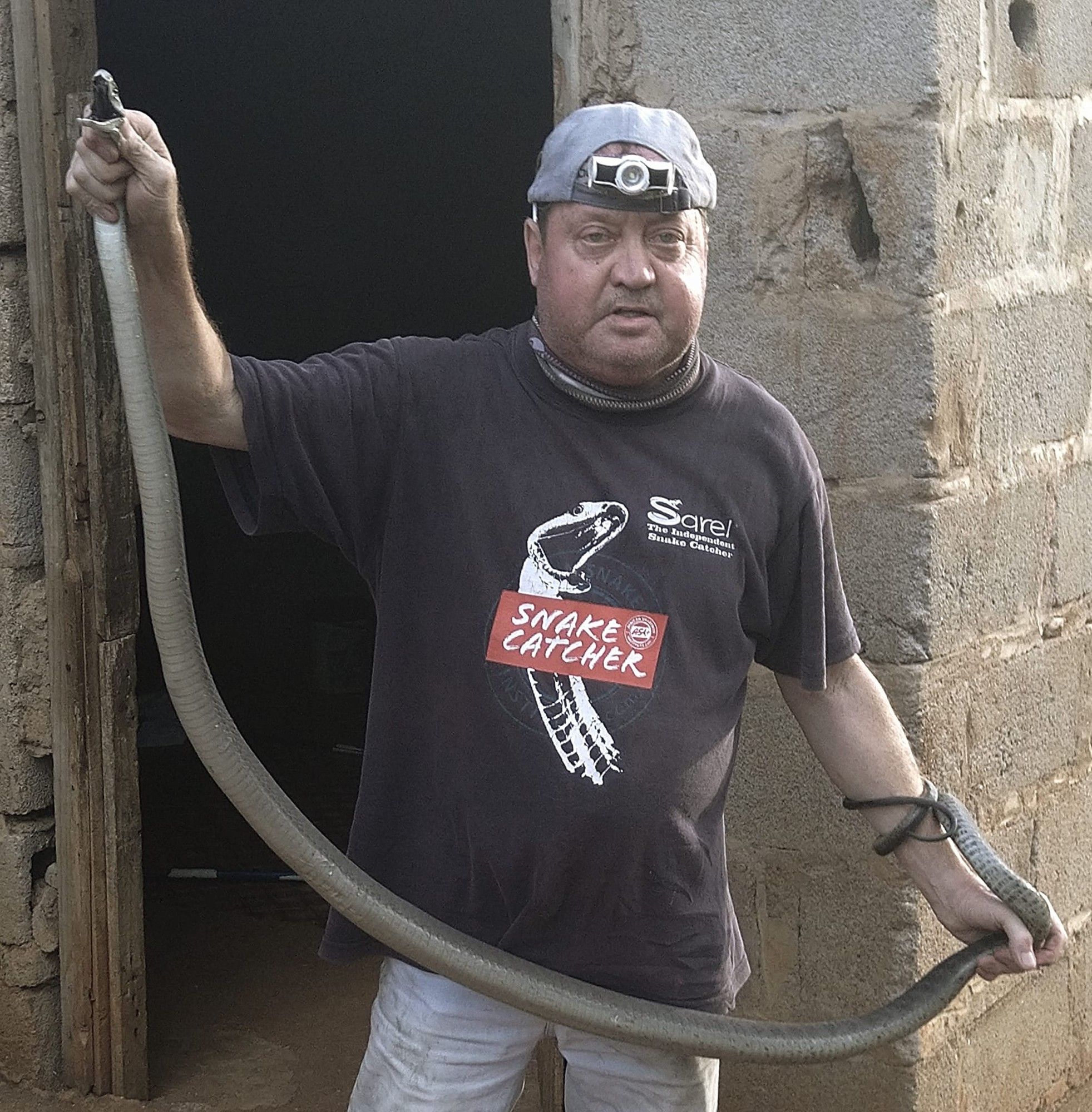 Snake catcher bags three mambas after gruelling day on the job