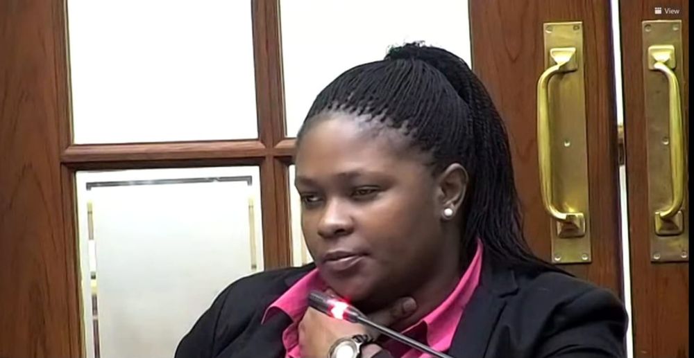 Sars rogue unit, Gordhan dominate questions at Mkhwebane inquiry