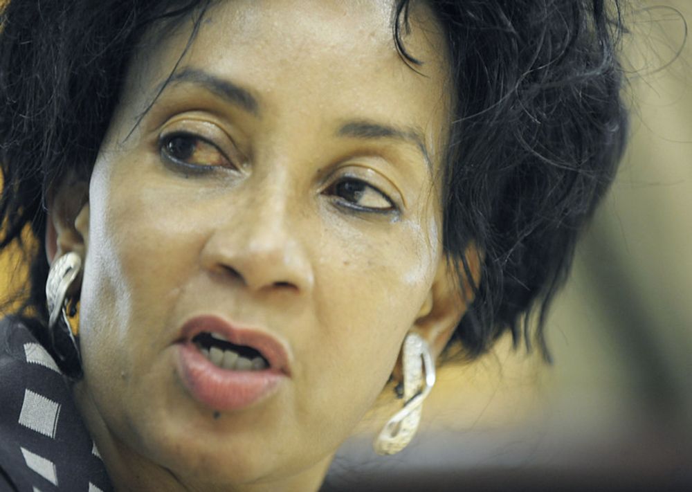 Afriforum in court over training for ANCYL
