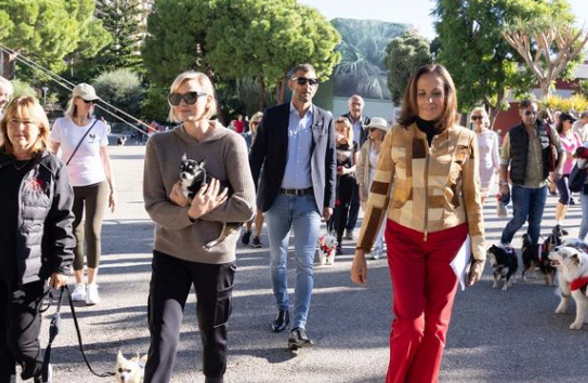 Princess Charlene's new Chihuahua puppy makes debut at Monaco charity event