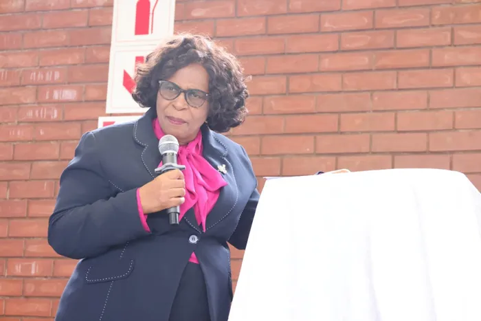 KZN Social Development MEC Nonhlanhla Khoza appeals to public ...