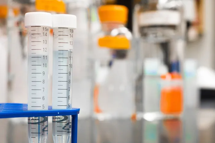 Why Catholic organisation wants paternity tests for Kenyan priests