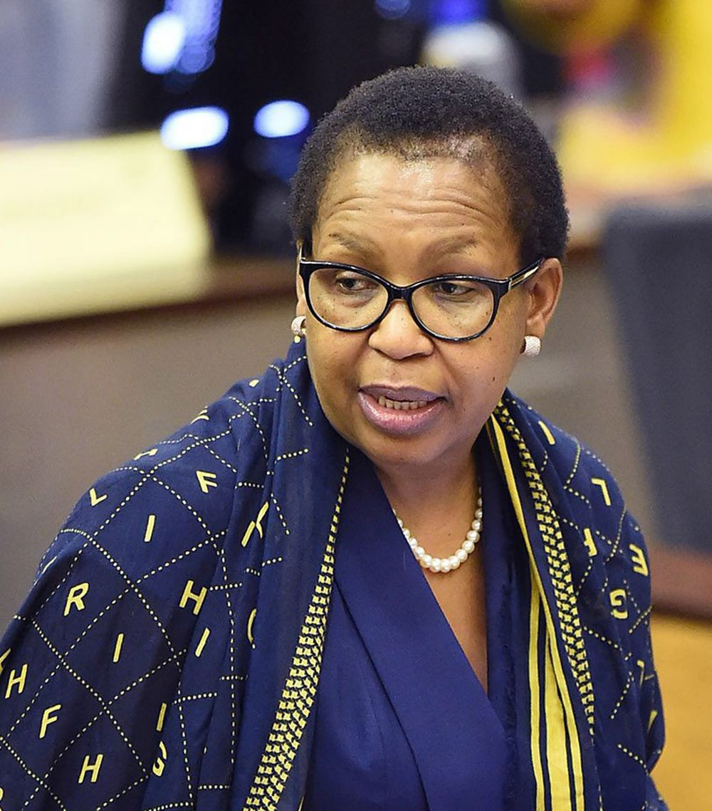 Health MEC gave input into psychiatric deaths - Health Ombud