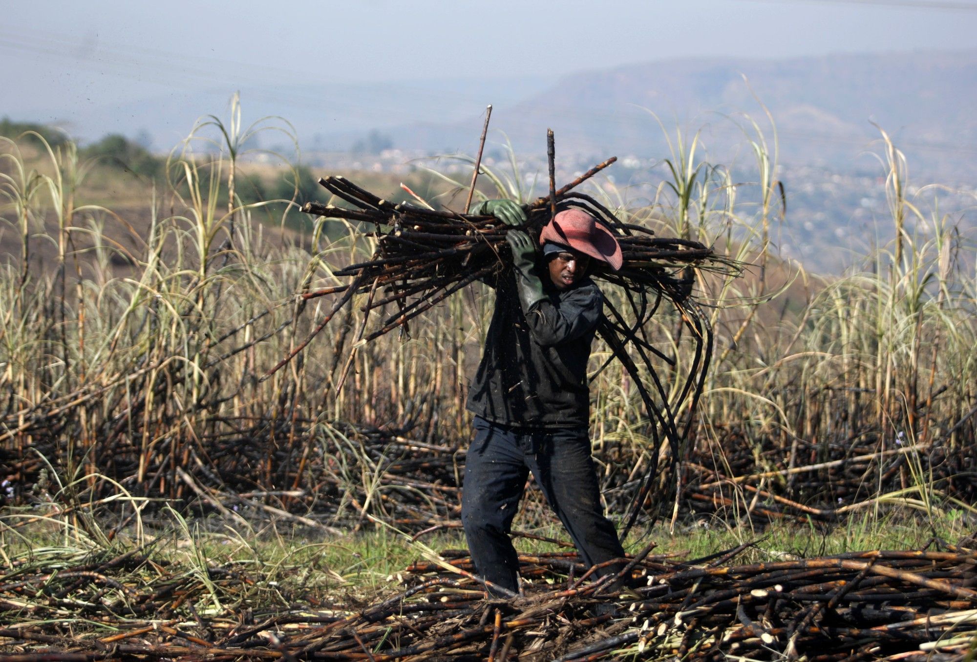 SA sugar industry warns of heightened risk of deep-sea imports