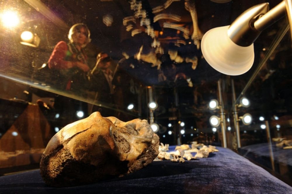 The skeleton of AU Sediba