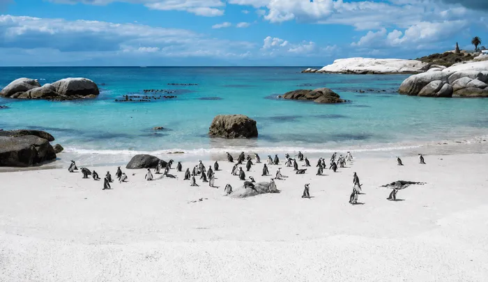 Celebrating World Oceans Week: 4 SA beaches recognised in global 'Beach ...