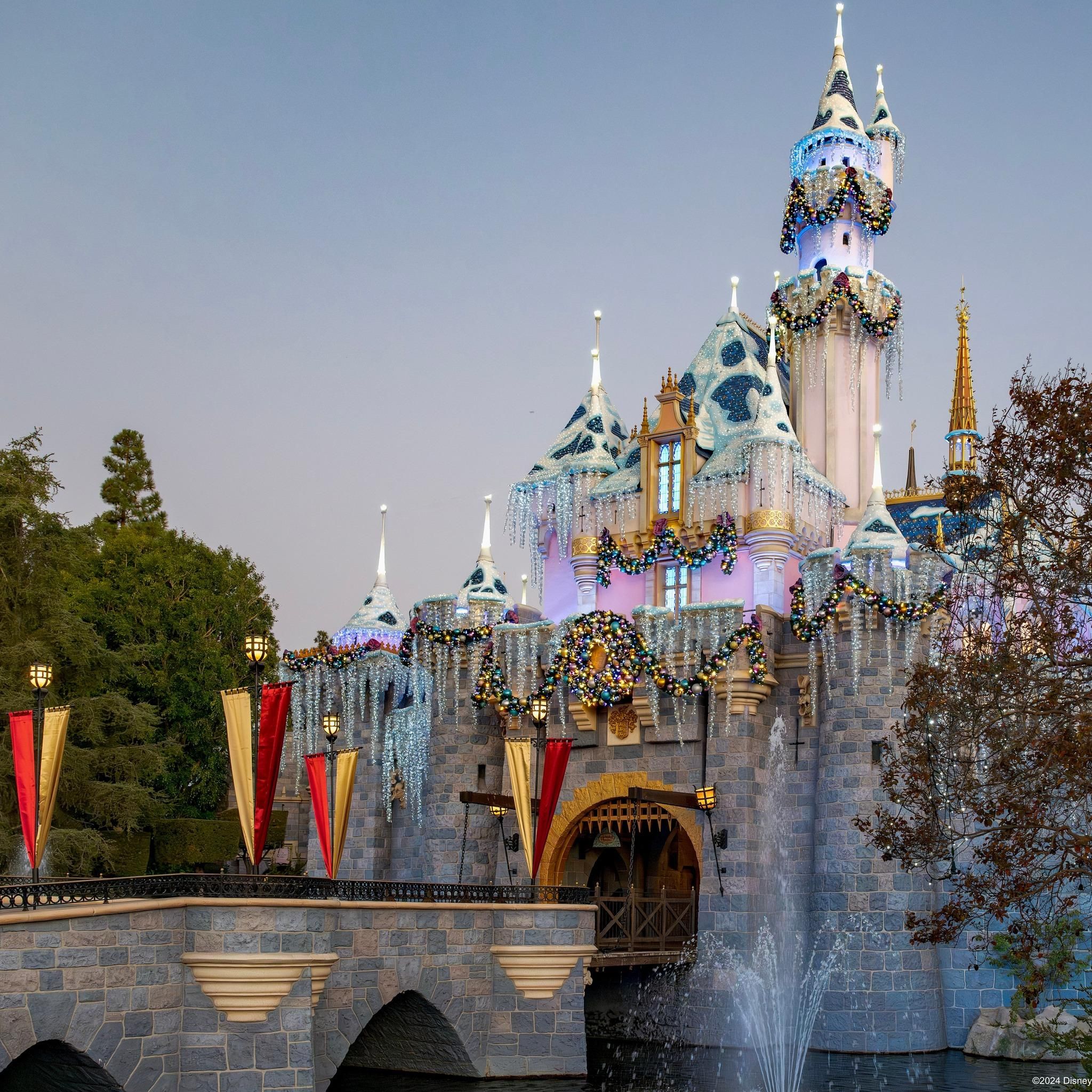 Why nobody dies at Disney World - employees reveal what really happens