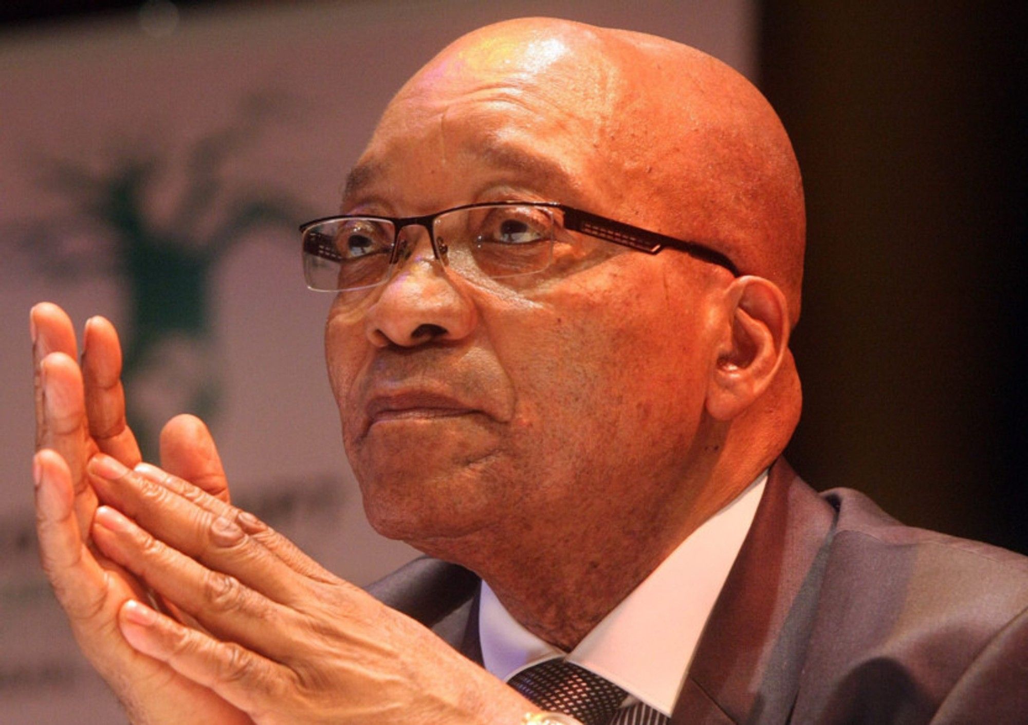 Zuma to meet former chess champion