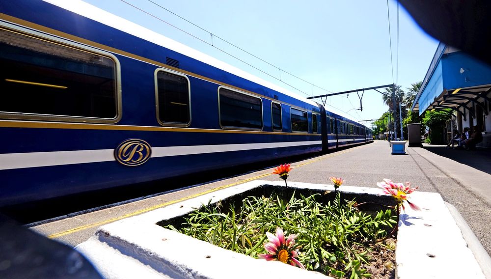 A journey on the Blue Train: Luxury travel through South Africa
