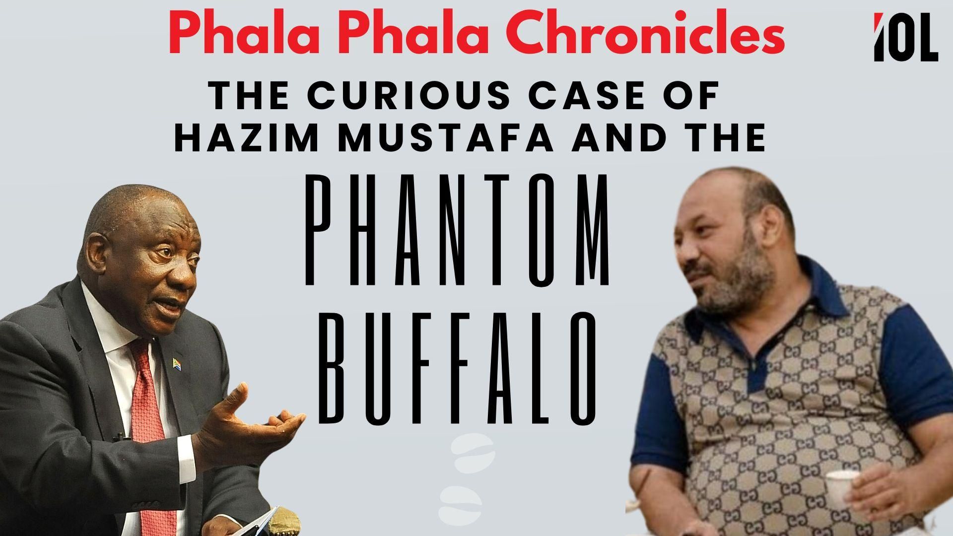 Phala Phala: Ramaphosa, the missing millions and the phantom buffalo ...