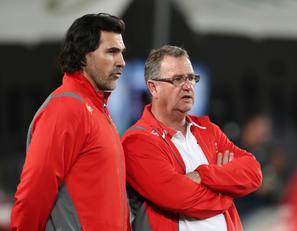 Lions finally hitting their straps under De Bruin