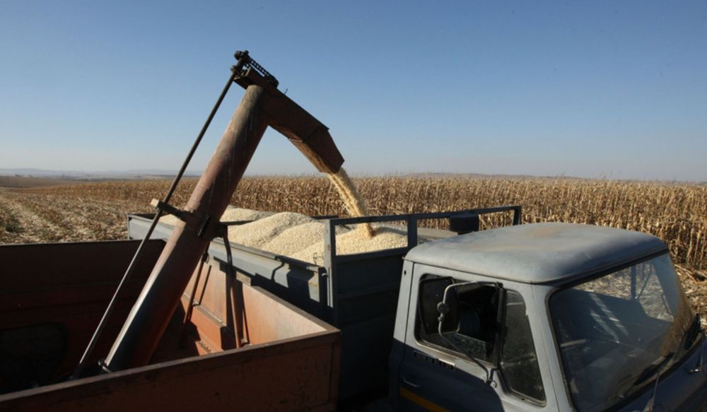 Crucial two weeks to save crops