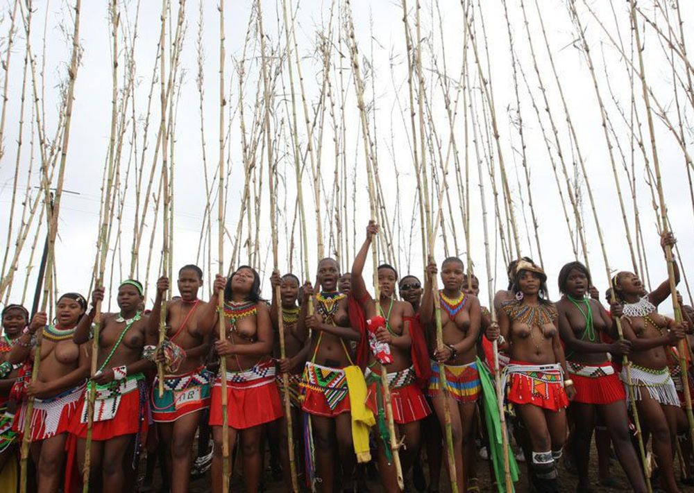 King’s Reed Dance packs them in