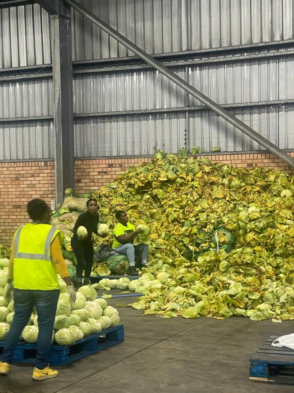 Quibbling goes on as food rots, pupils go hungry