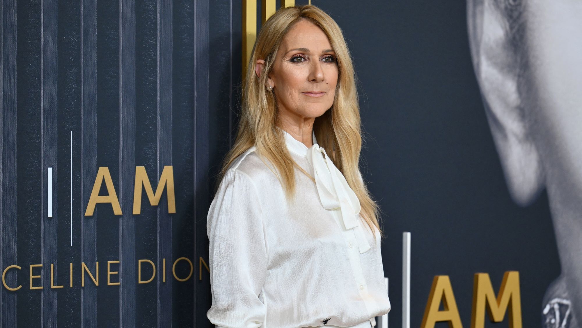Sinking ship jokes ensue as Celine Dion slams Donald Trump for playing ...