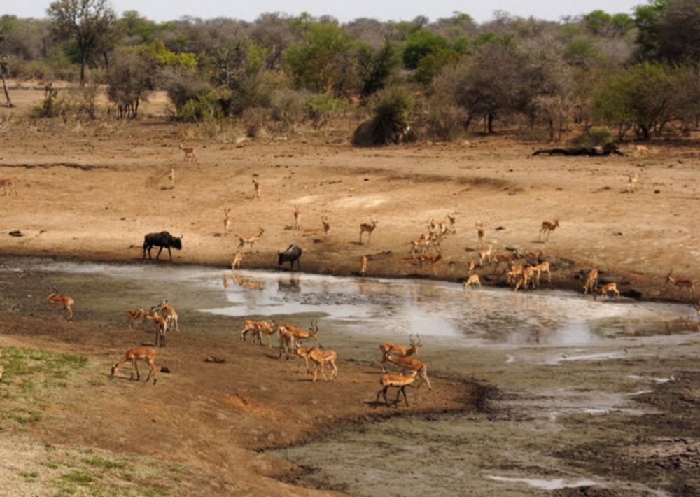 Eco-friendly lodge echoes its environment
