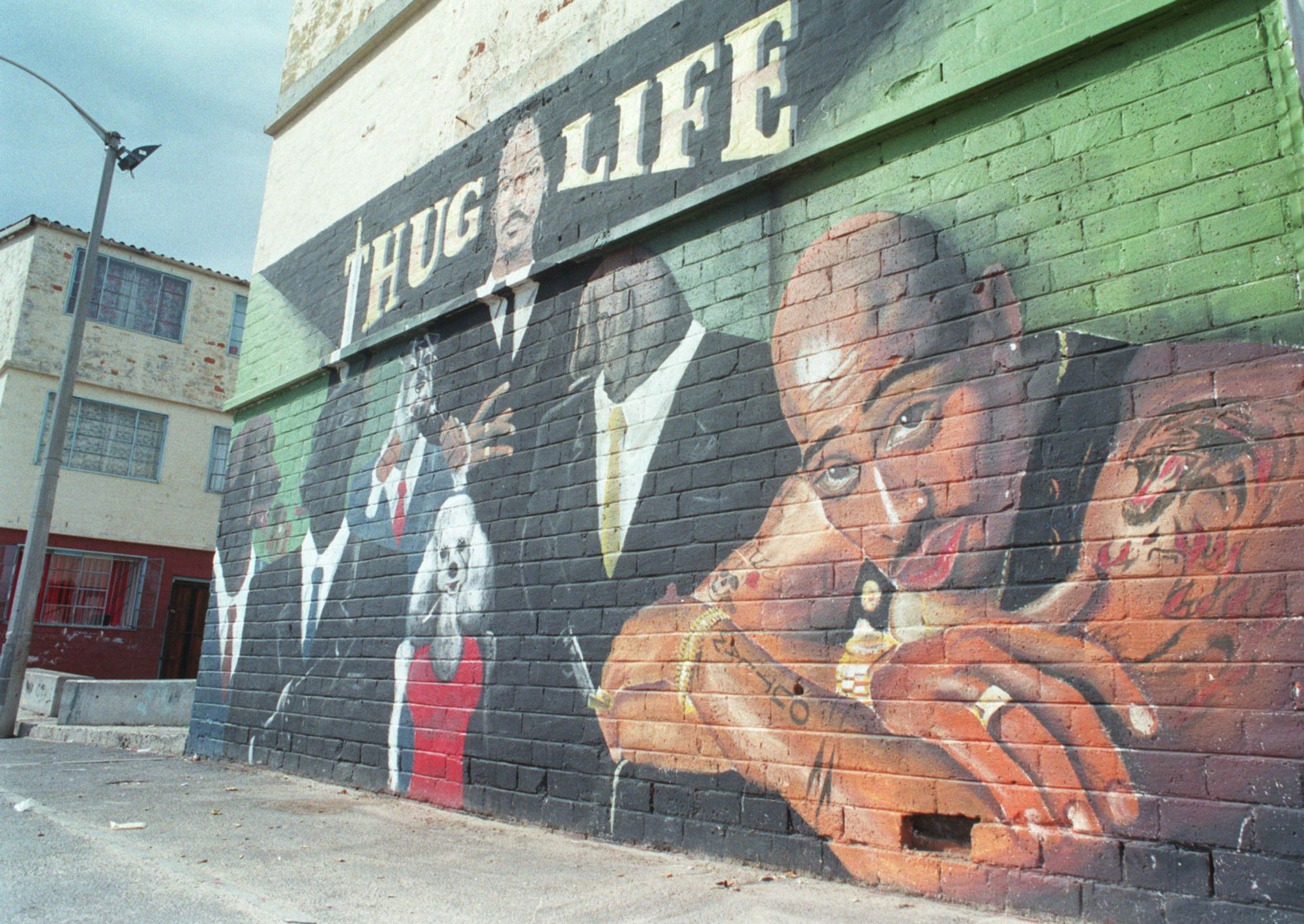 How women get involved in gangsterism and why they end up staying