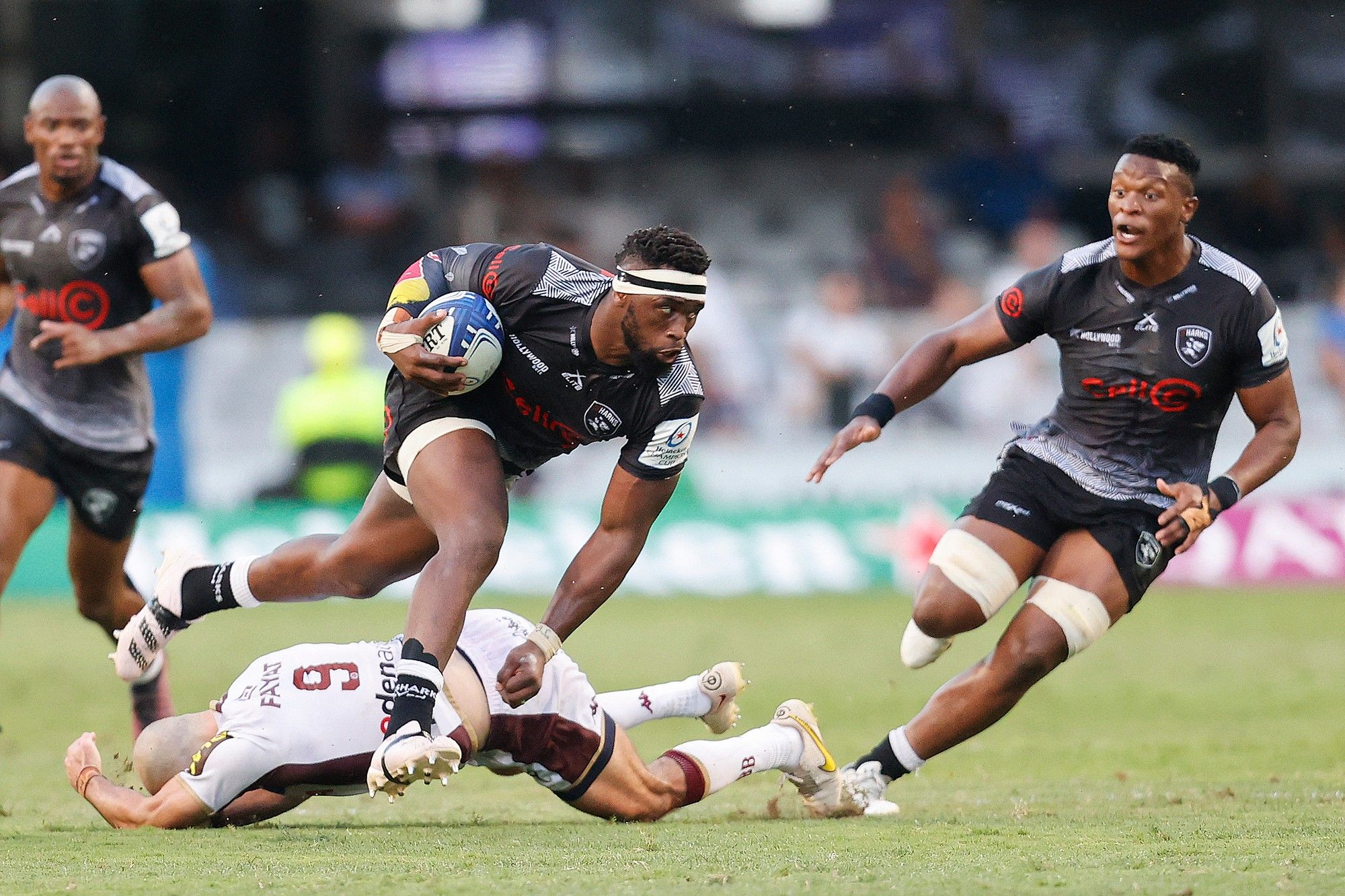 Siya Kolisi Brace But Charitable Sharks Almost Present Zebre With The