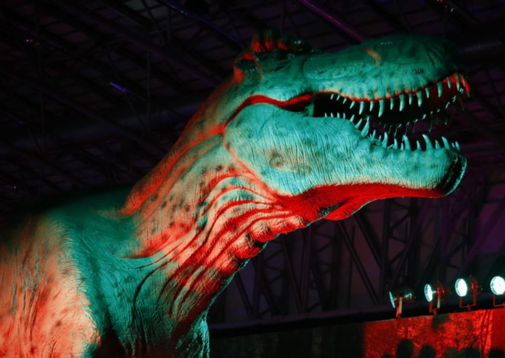 Dinosaurs declining long before asteroid hit - experts