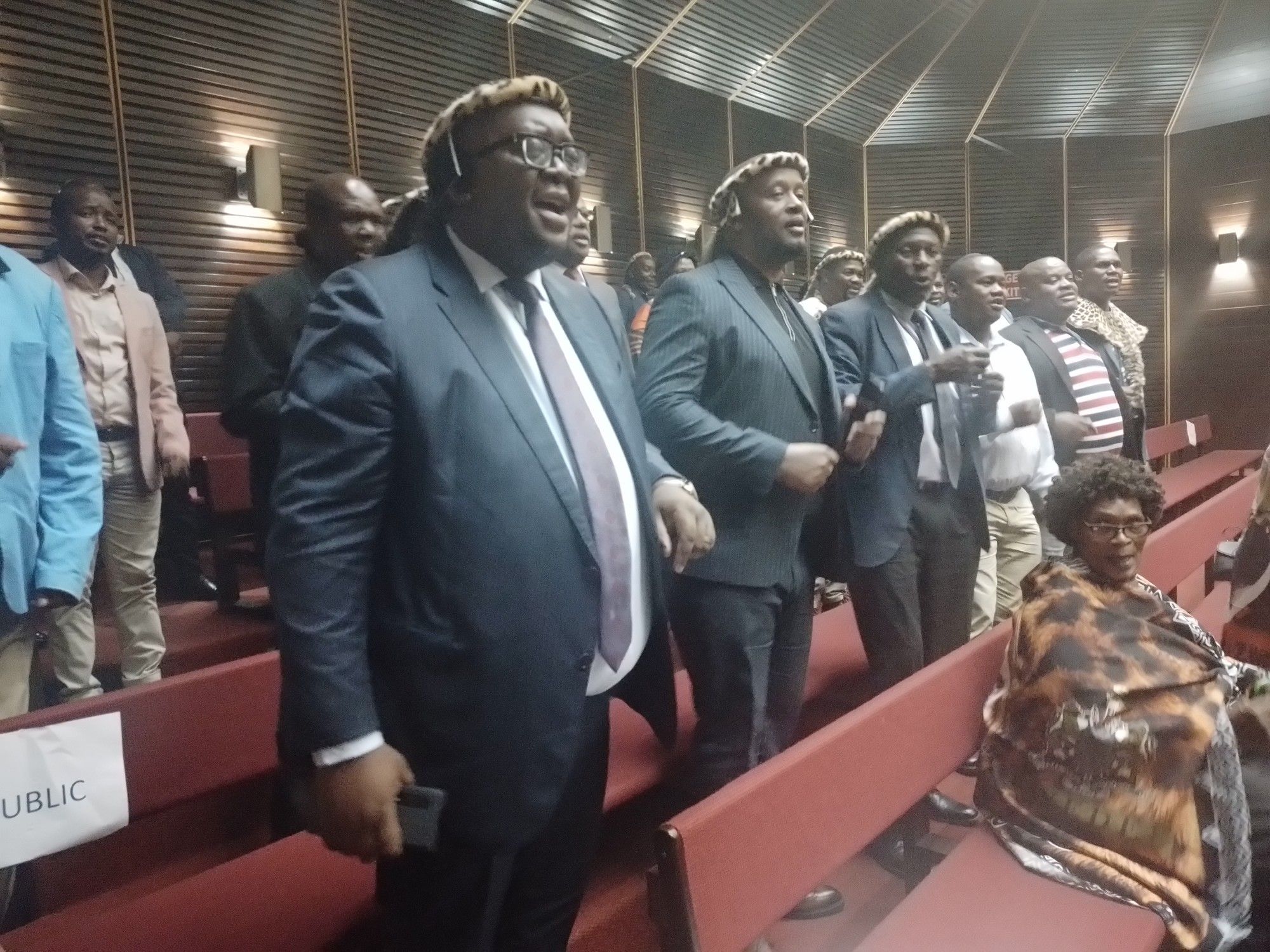 Bazokwehlelwa amabhadi abanyakazisa iSilo: Buthelezi