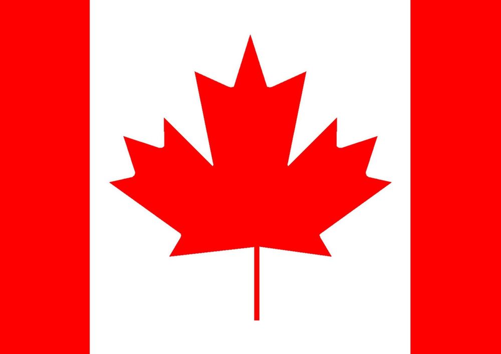 Canada envoy quits Libya post