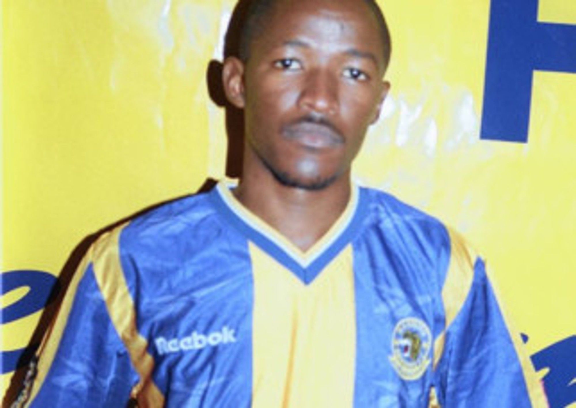 UNombe unesifiso sokufukula iSwallows