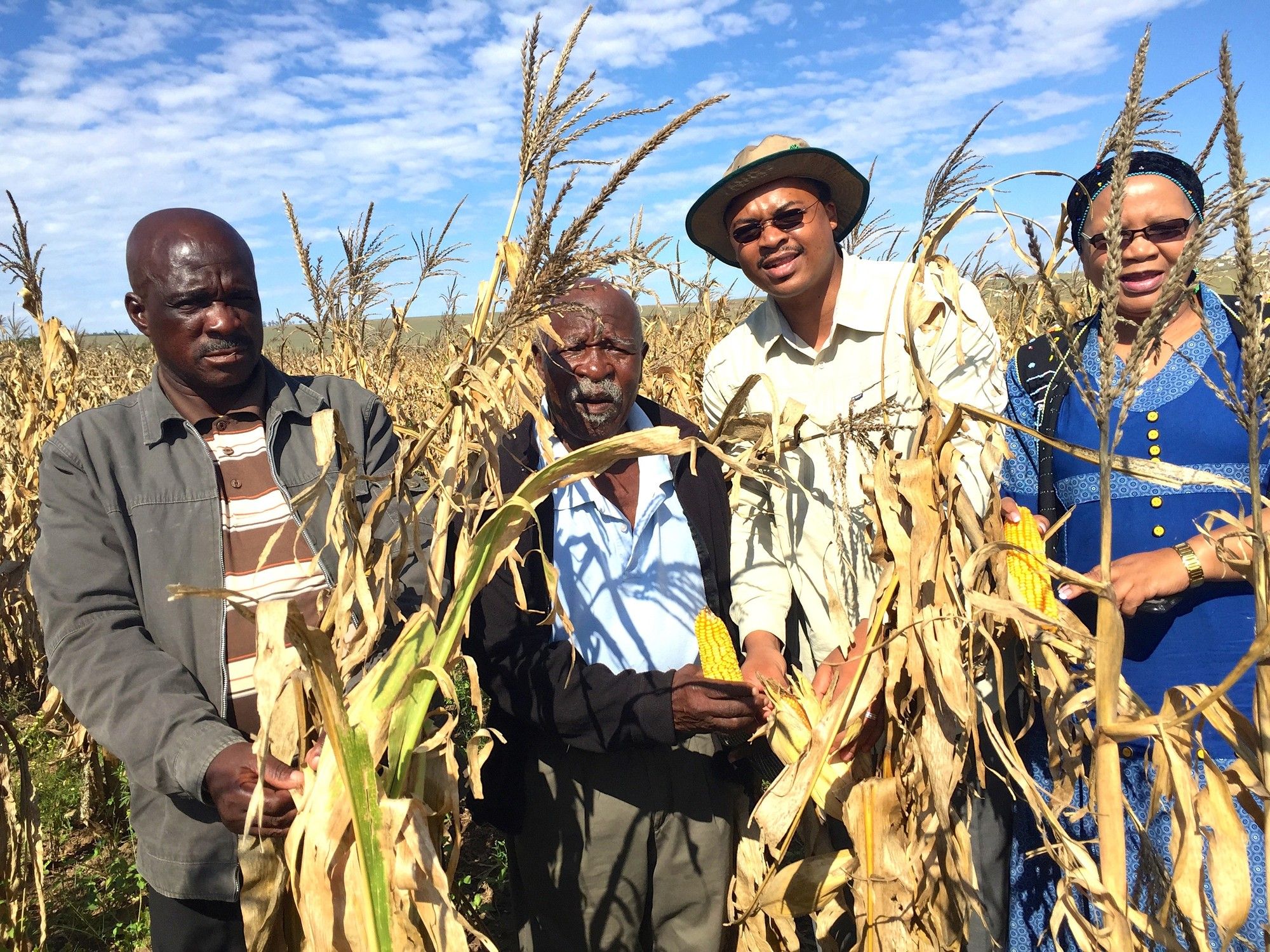 Amafama aseDutywa anethemba kwisivuno