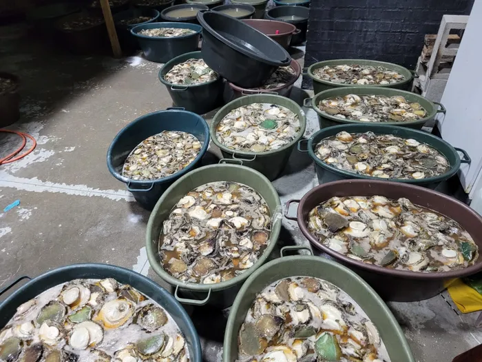 Smuggling arrests snare 9 suspects and abalone worth R20m