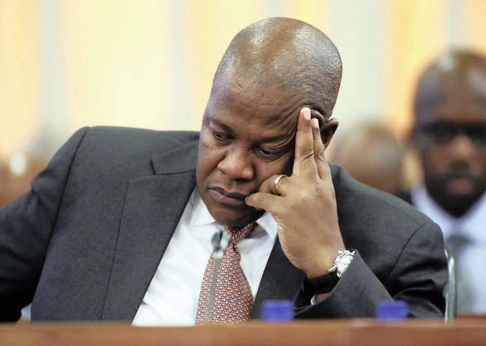 Former Eskom, Transnet boss, Brian Molefe’s safari property sold for a song