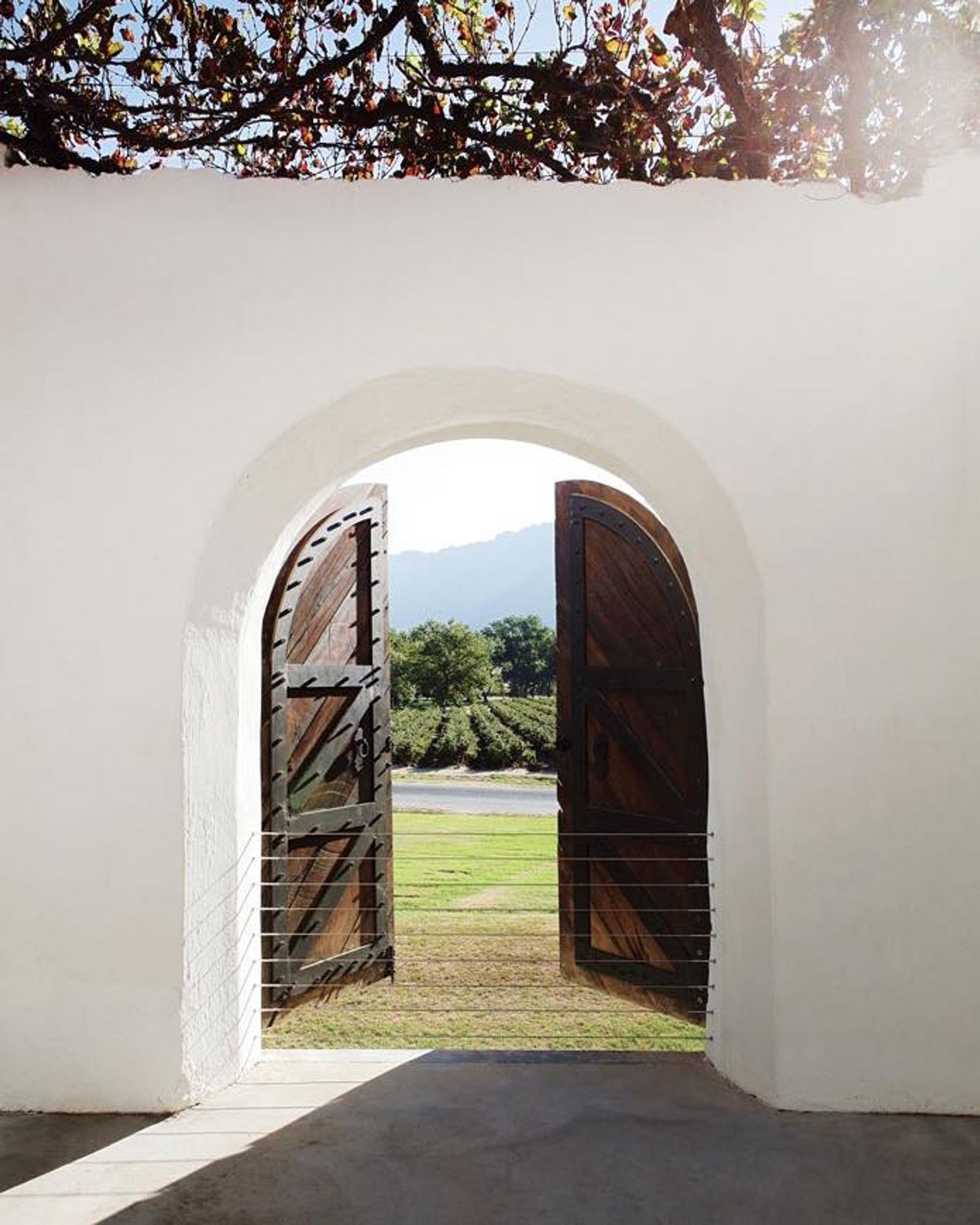 Celebrating South Africa's Sparkling Wines: A Toast to Cap Classique