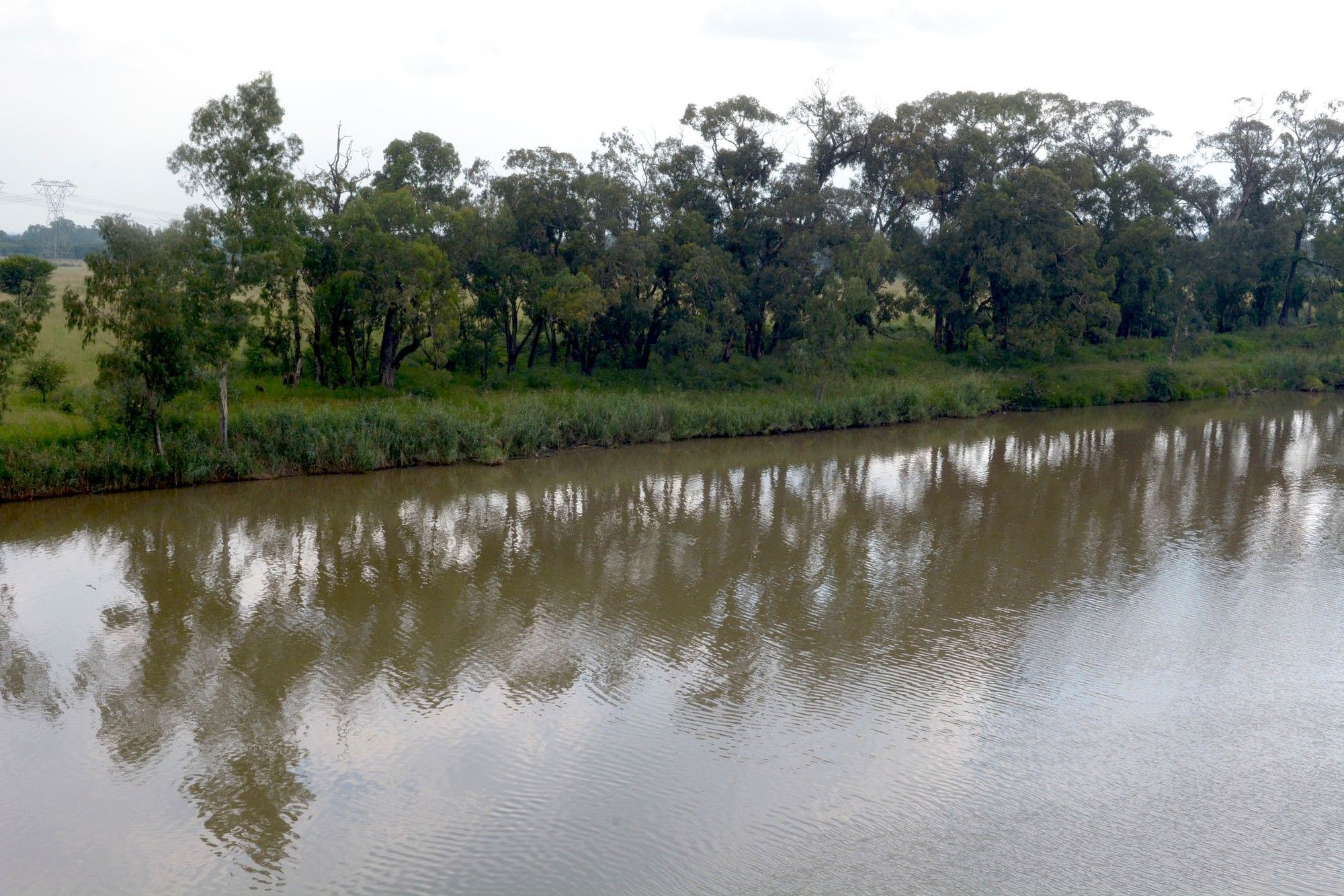 State of Vaal River distasteful, unpalatable despite it being a crucial ...