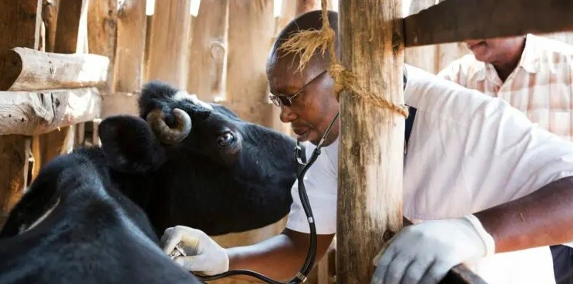 Victory for vets as they’re placed on critical skills list