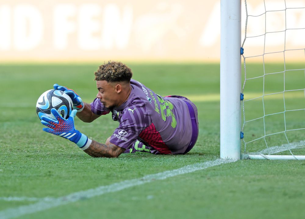 Chaine, Williams and Stephens can battle it out for PSL Goalkeeper of ...