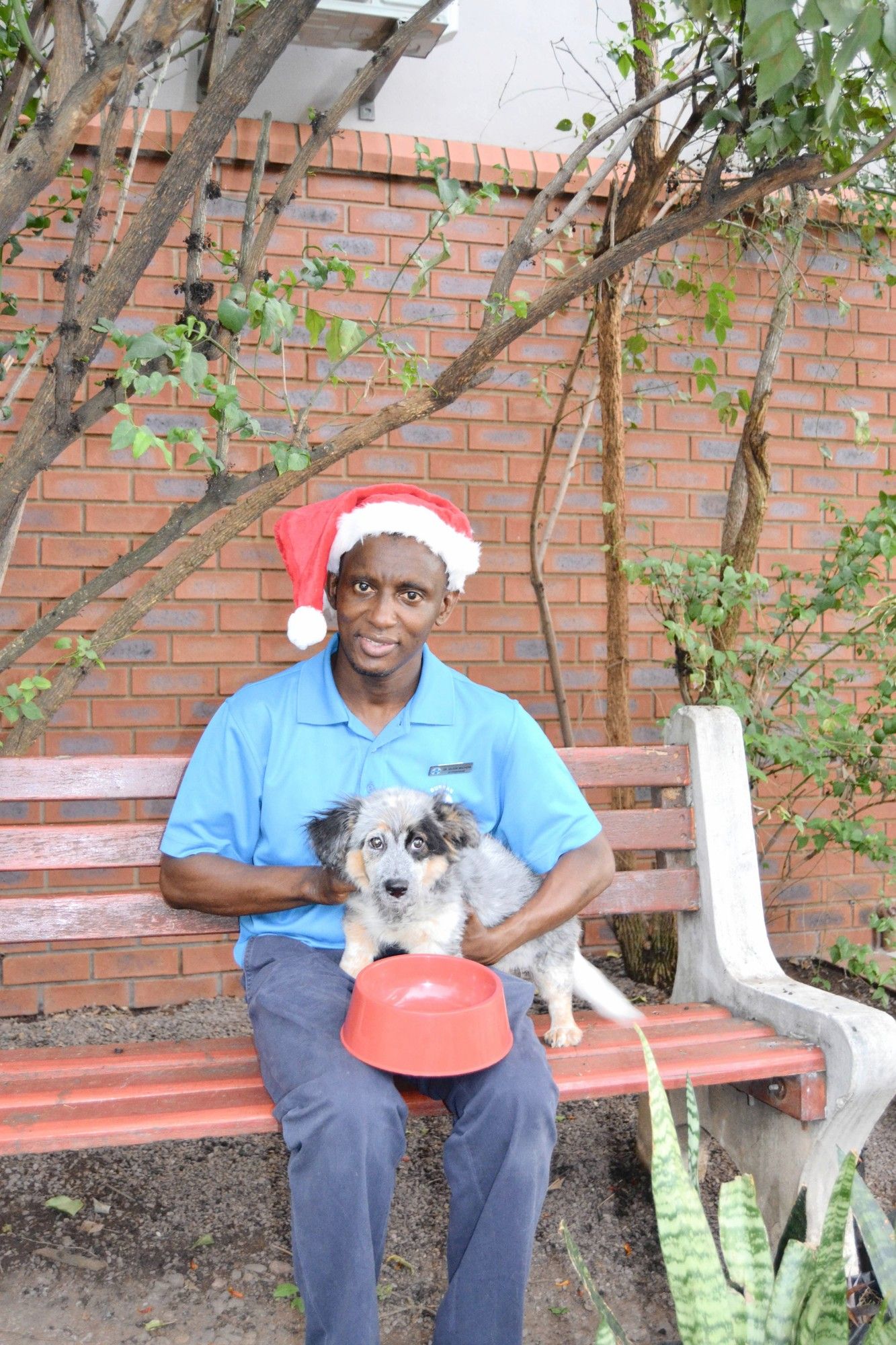 'Tis the season to be giving to the SPCA