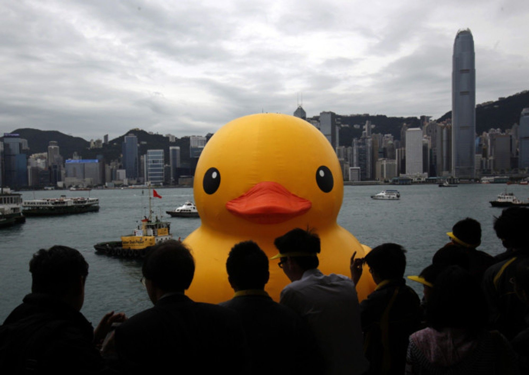 Hong Kong cries fowl over deflating duck