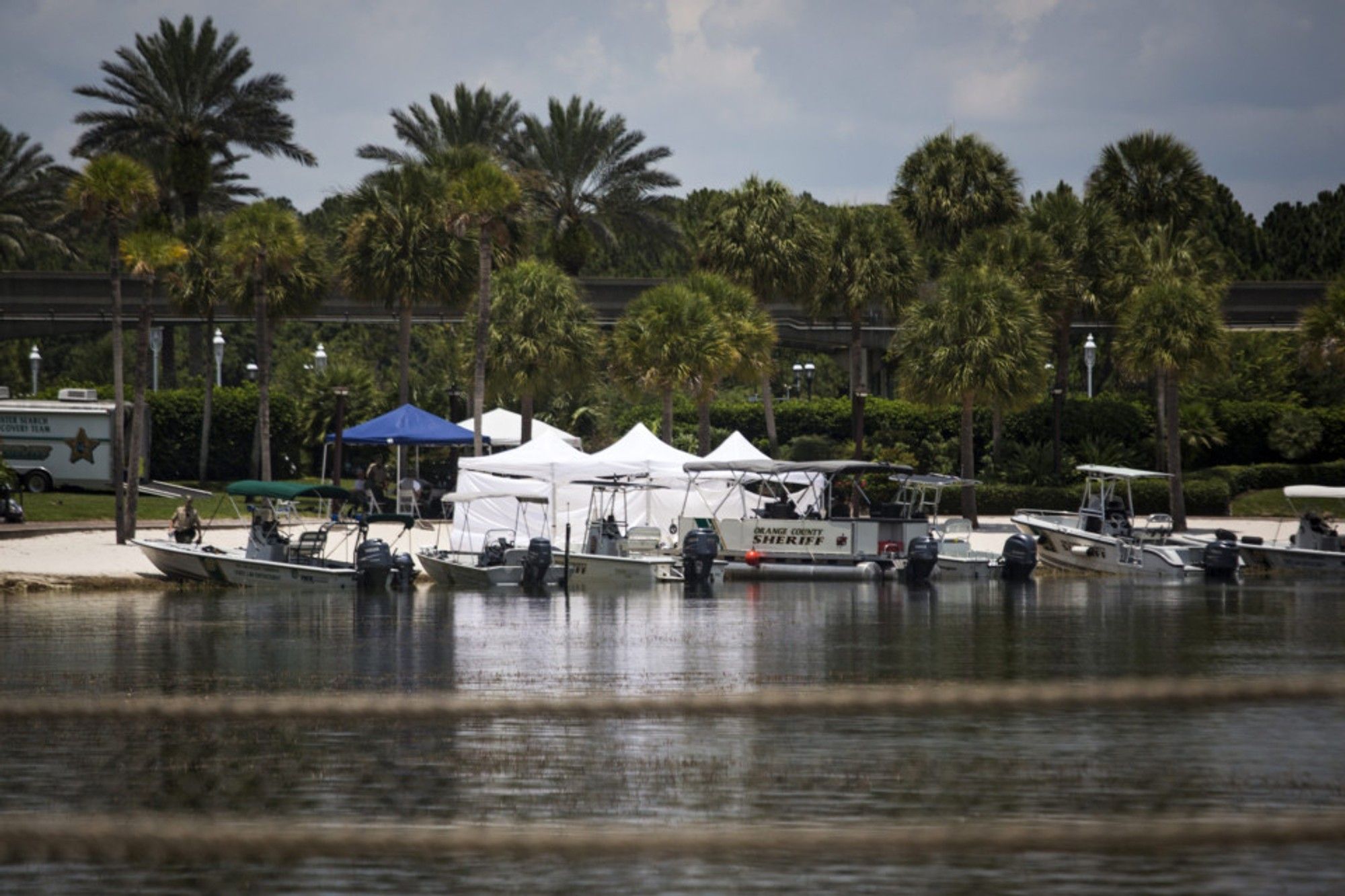 Welcome to Florida, please don’t touch the gators